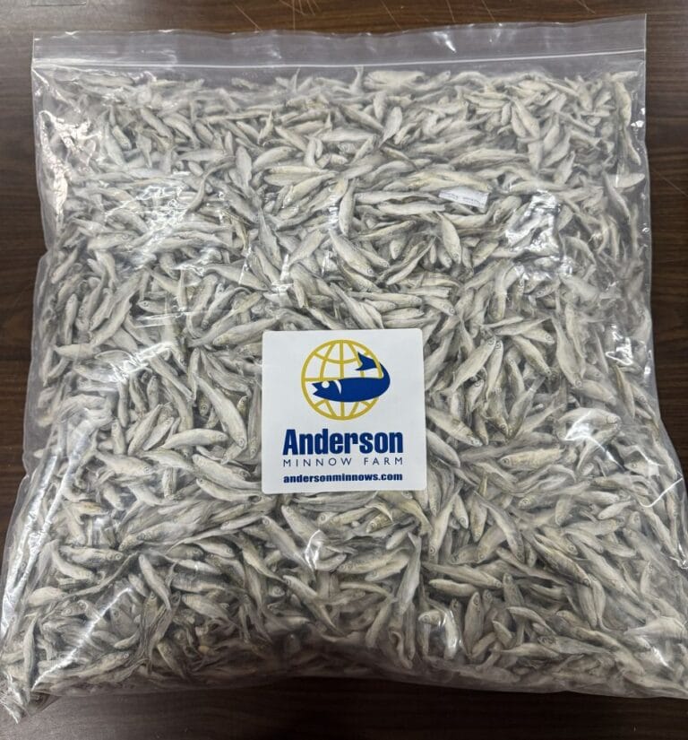 Freeze Dried Minnows - Anderson Minnow Farm