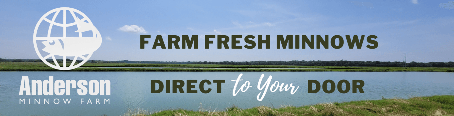 Store - Anderson Minnow Farm